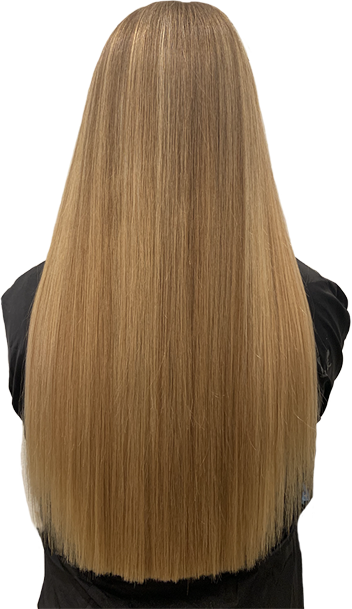 Official Nevada Golden Gloves Boxing